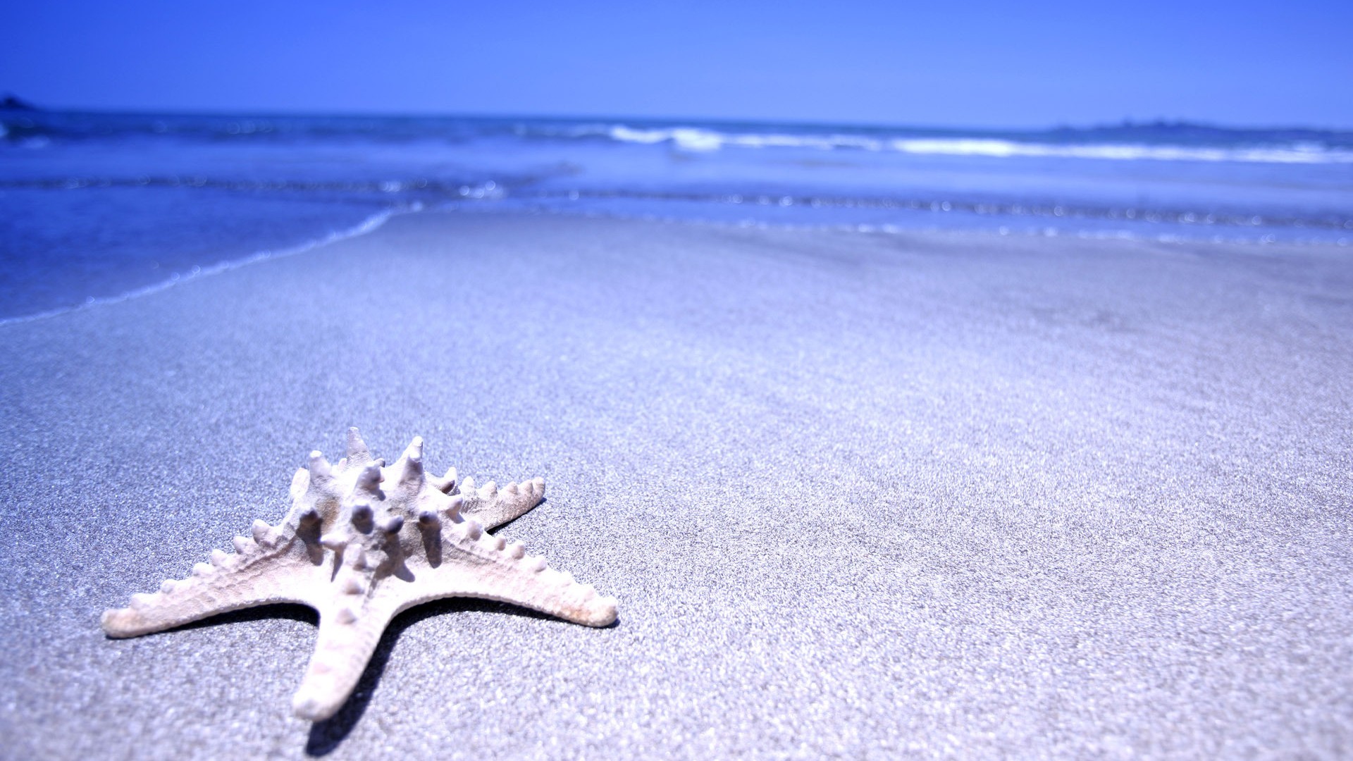Royal Adventure Tours – Travel with us